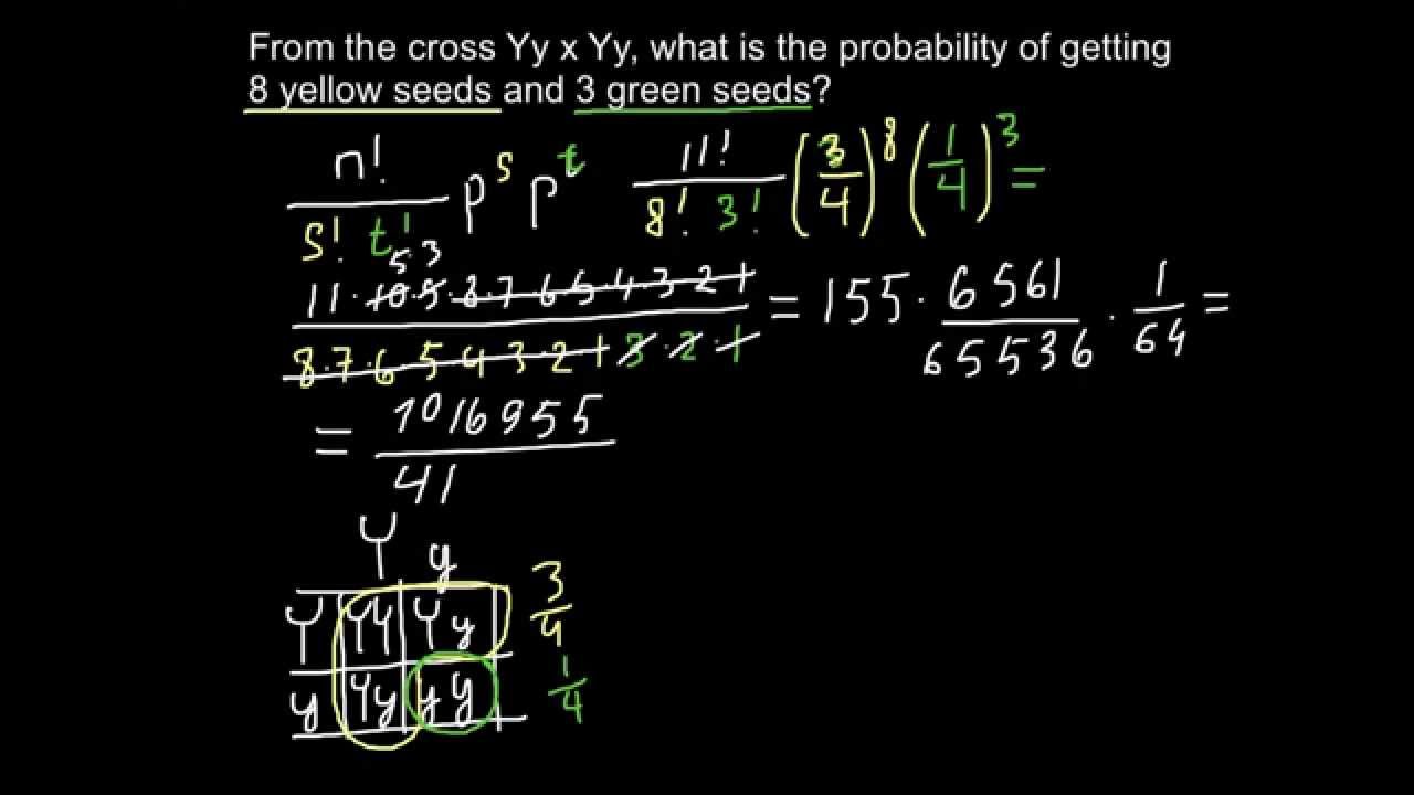 Factorial method and Genetics - YouTube