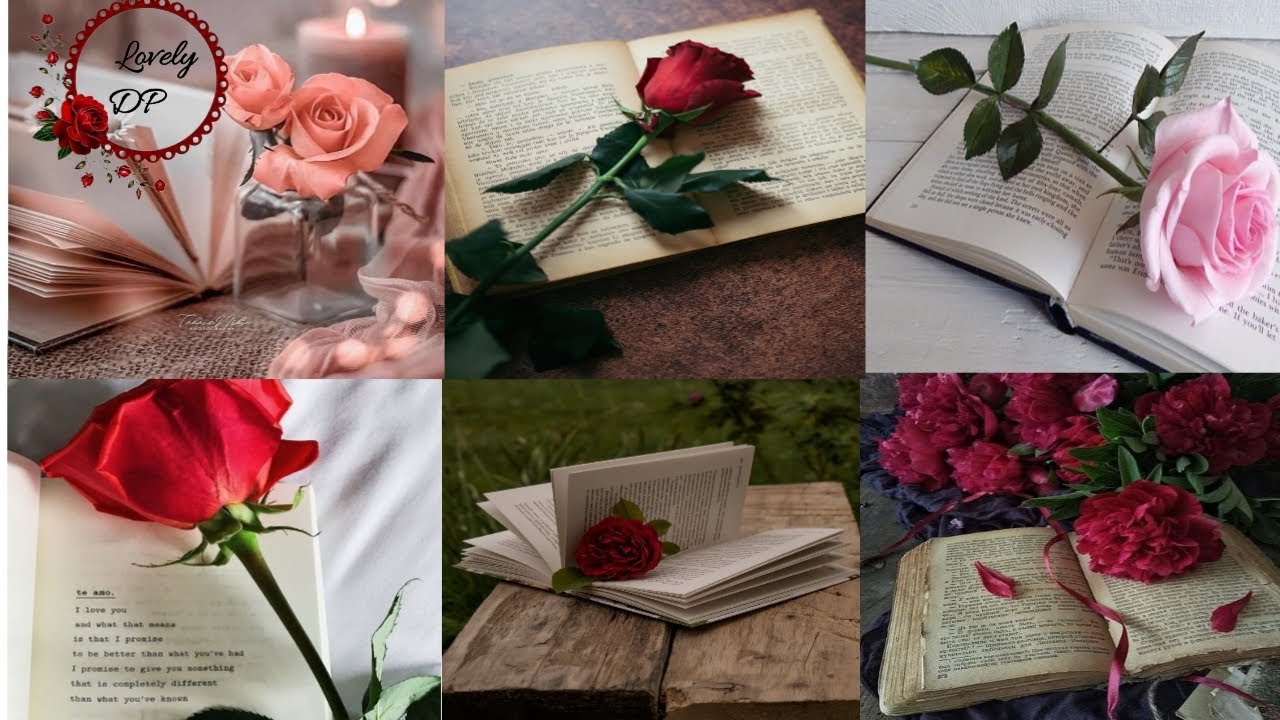 Flowers dp|Flower pics for whatsapp|beautiful flowers pictures|book dp ...
