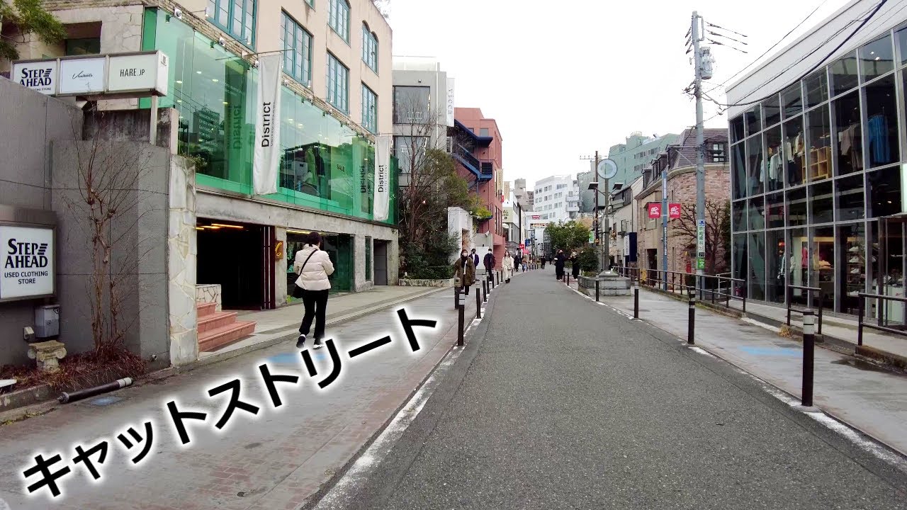 4K 表参道～キャットストリート～ミヤシタパーク / Omotesando ~ Cat Street ~ Miyashita Park in ...