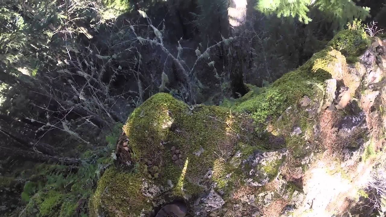 RuCKeL RIdGE up on the CAtWaLK (Simple Minds cut) - YouTube