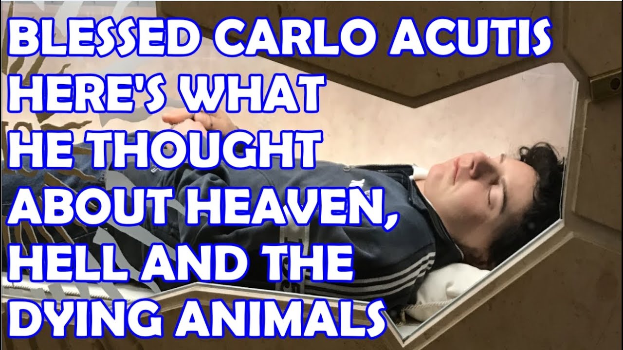 Blessed Carlo Acutis Here s What He Thought About Heaven And Hell And