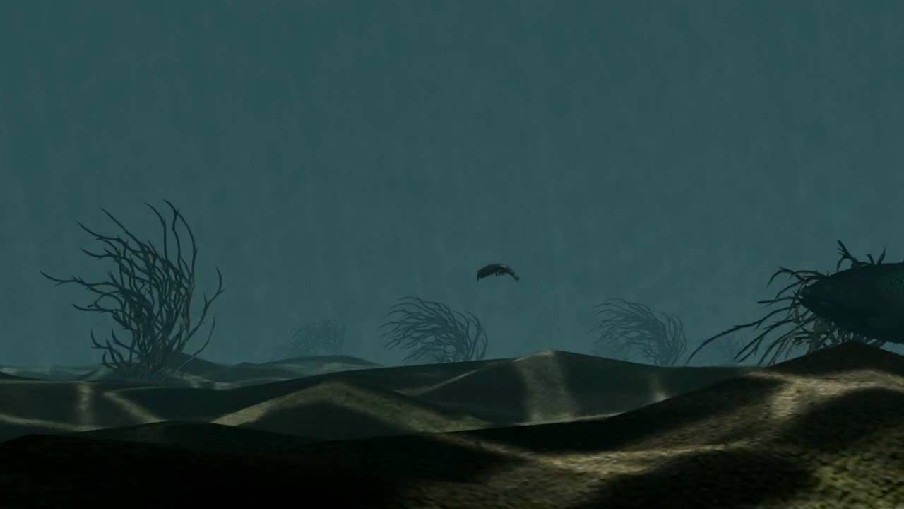 Salmon Eats Krill (Animation) - YouTube