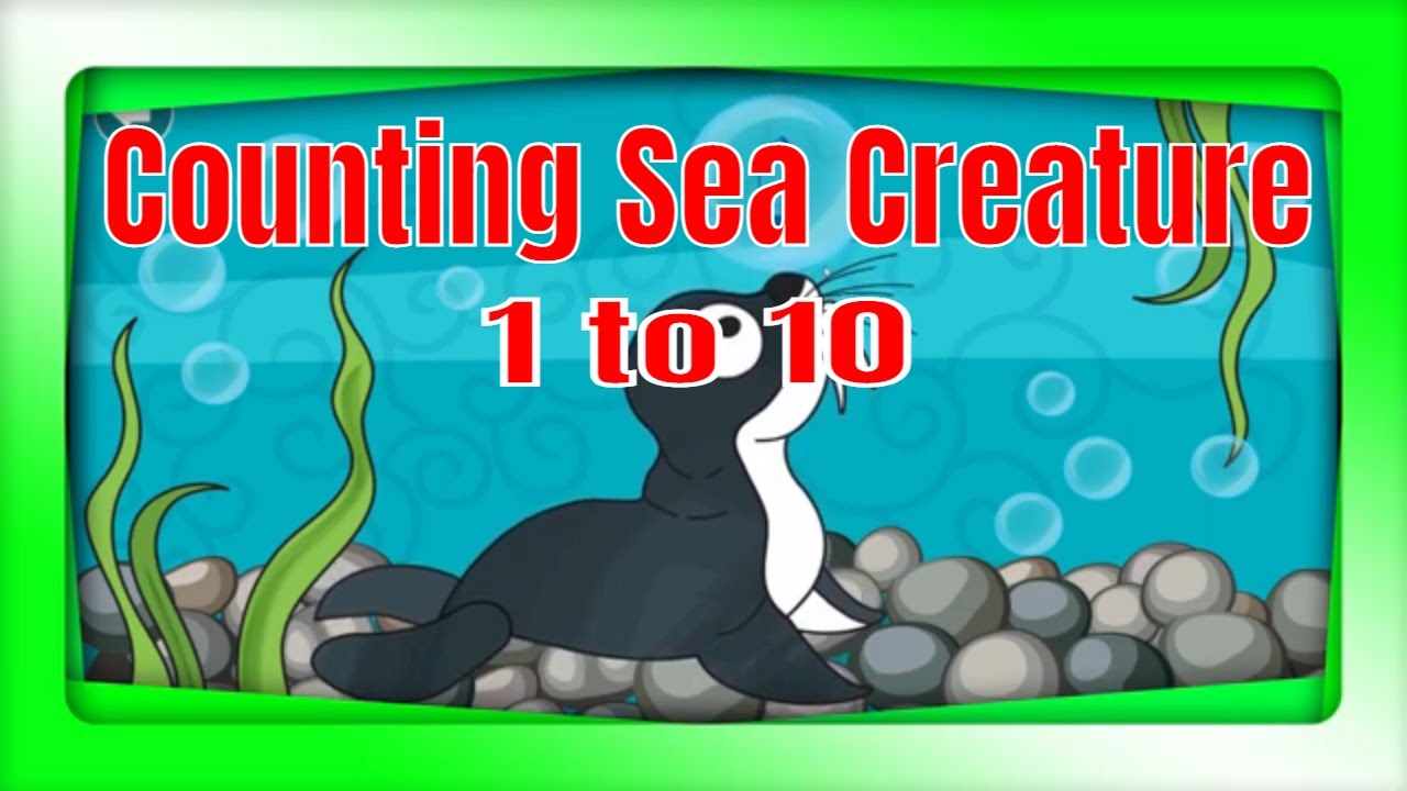 Counting Sea Creatures 1 to 20 | Learn to Count 1 to 20 |TV Style - YouTube