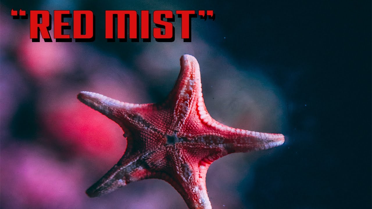 "Red Mist" Spongebob Squarepants Creepypasta - YouTube