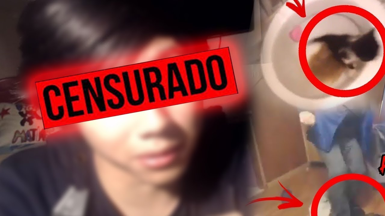 Peluchin Entertainment el "youtuber" que mato a su gato. - YouTube