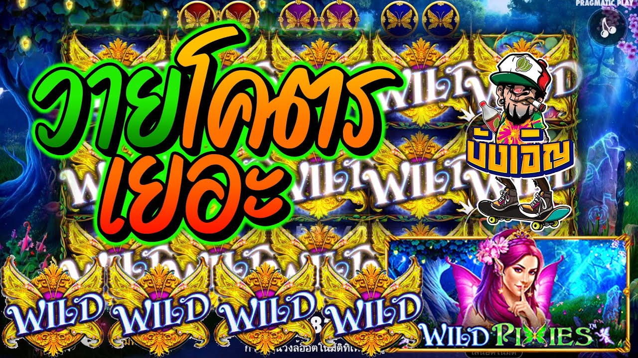 เกมส์PP Wild Pixies - วายโคตรเยอะ - YouTube