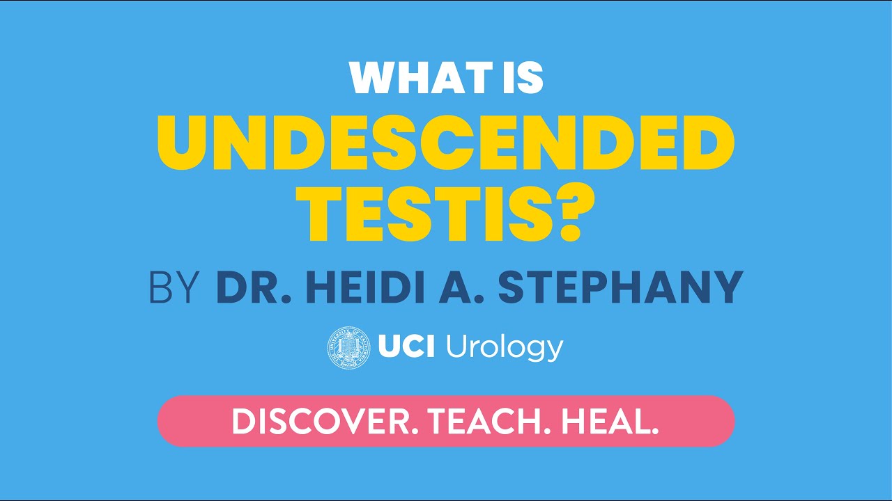 What is Undescended Testis? By Dr. Heidi A. Stephany - UCI Department ...