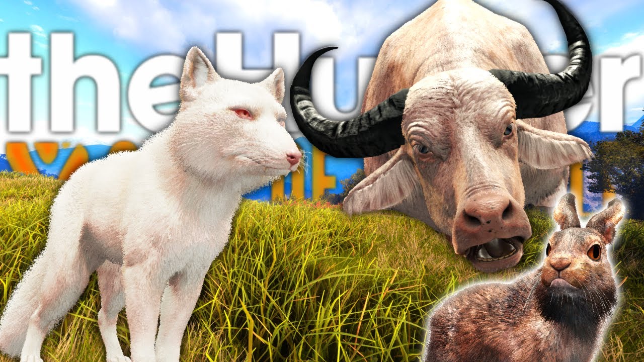 TWO RARES AND A MAX SCORE DIAMOND?!? - Sundarpatan - theHunter Call of ...