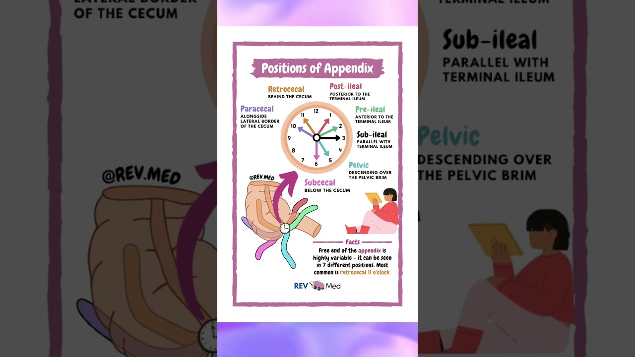 Appendix Positions - YouTube