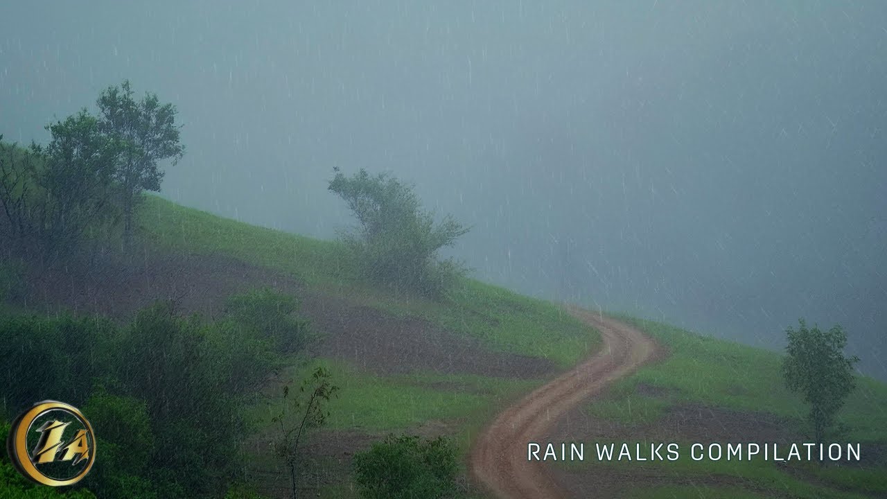 [4K] Walking in Cold Rainy Weather | ASMR Rain Walks Compilation for ...