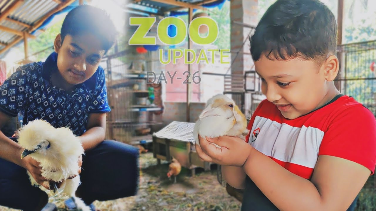 DAY-26 my mini Zoo update, Aquarium Fish 🐠 #hasibvlogs - YouTube