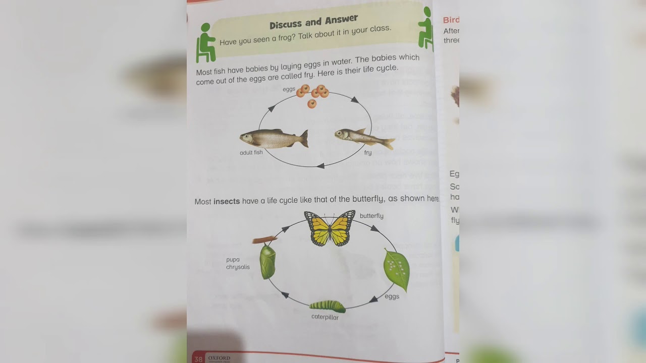 New oxford science unit no 4 class 3 - YouTube