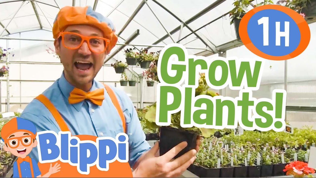 Blippi Grows Plants + Learns Colors! | Blippi | Preschool Kids Videos ...