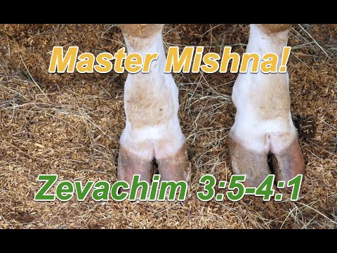 Master Mishna! Zevachim 3:5-4:1 - YouTube