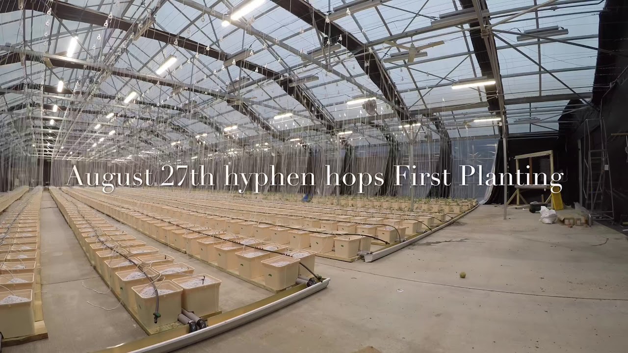 Hyphen Hops 1st Planting - YouTube