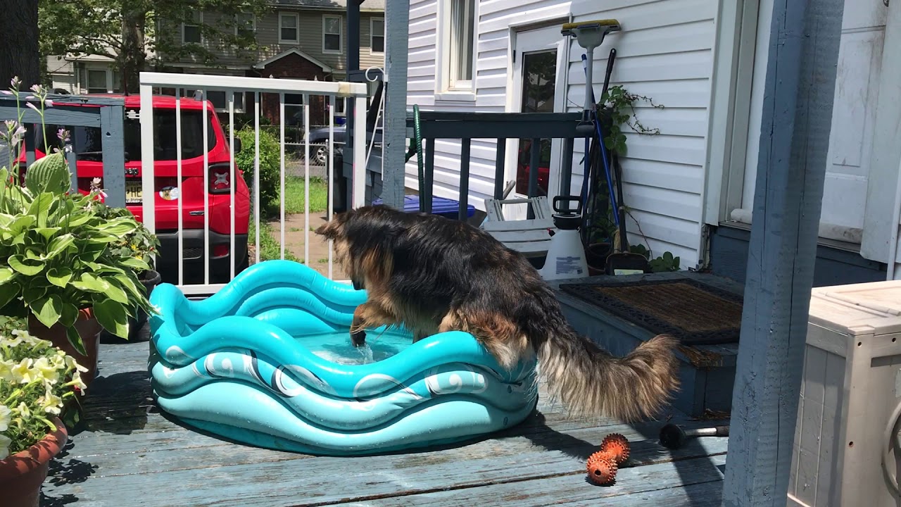 Izzy in her pool - July 2019 - YouTube