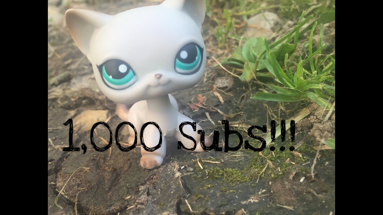 Lps 1,000 Subs!!!!! Ahhhhh - YouTube