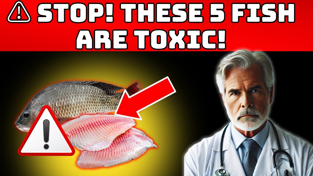Warning! 5 Toxic Fish You Should NEVER Eat & 5 Best for Your Health ...