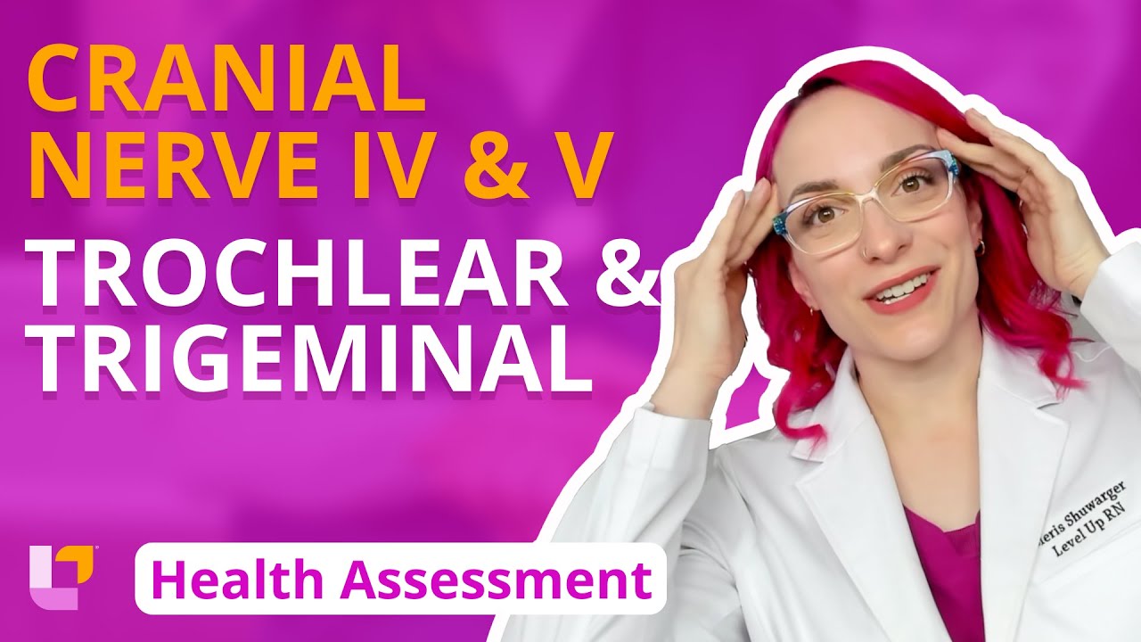 Cranial Nerve IV & V: Trochlear & Trigeminal - Health Assessment for ...
