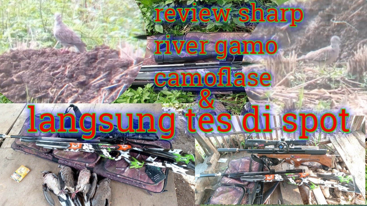 REVIEW SHARP RIVER GAMO CAMOFLASE & LANGSUNG TES AKURASI DI SPOT - YouTube