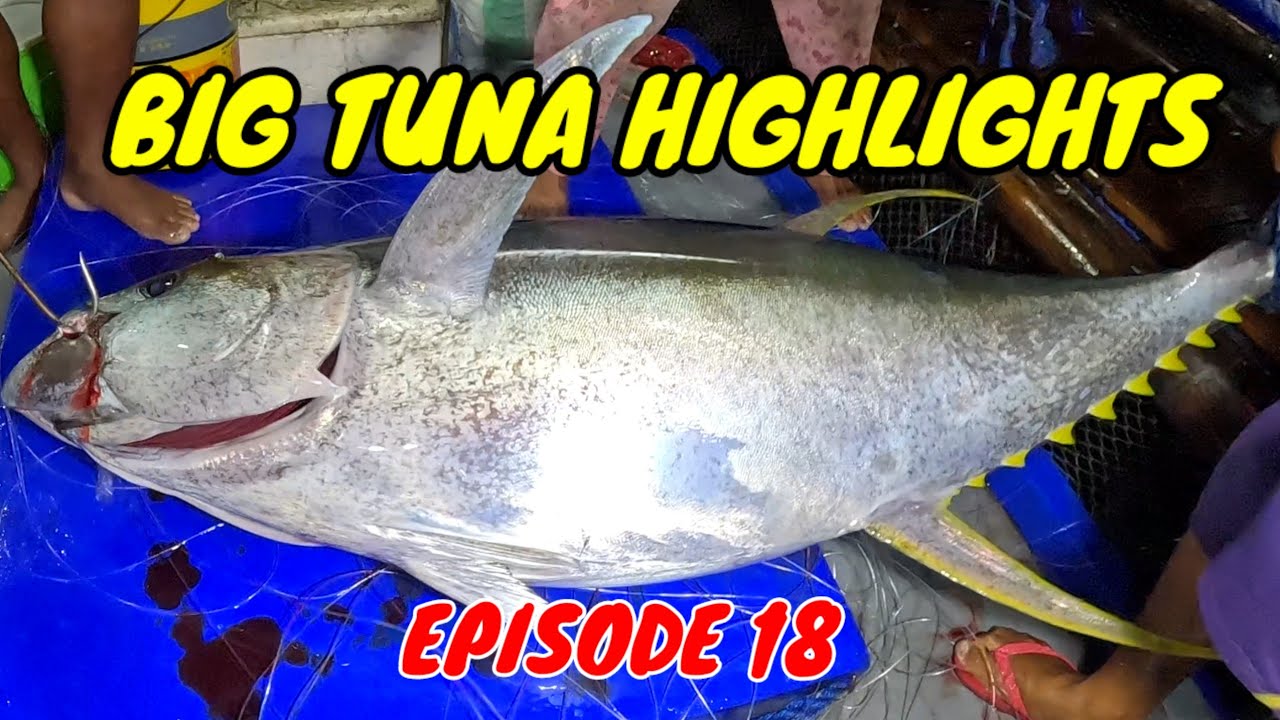 Big Tuna's Highlights | Episode 18 - YouTube