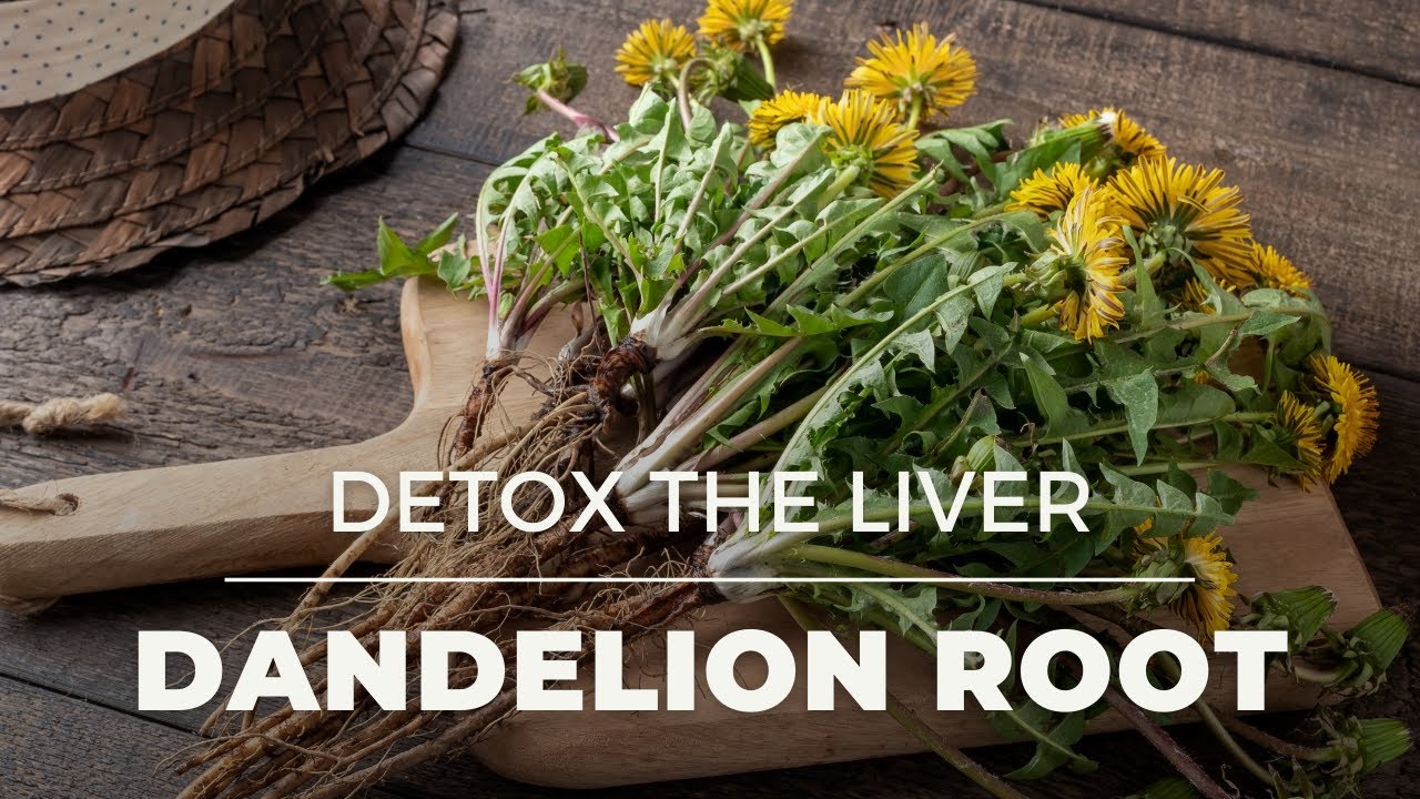 This week we harvest dandelion rongoa | Ep 1 - YouTube