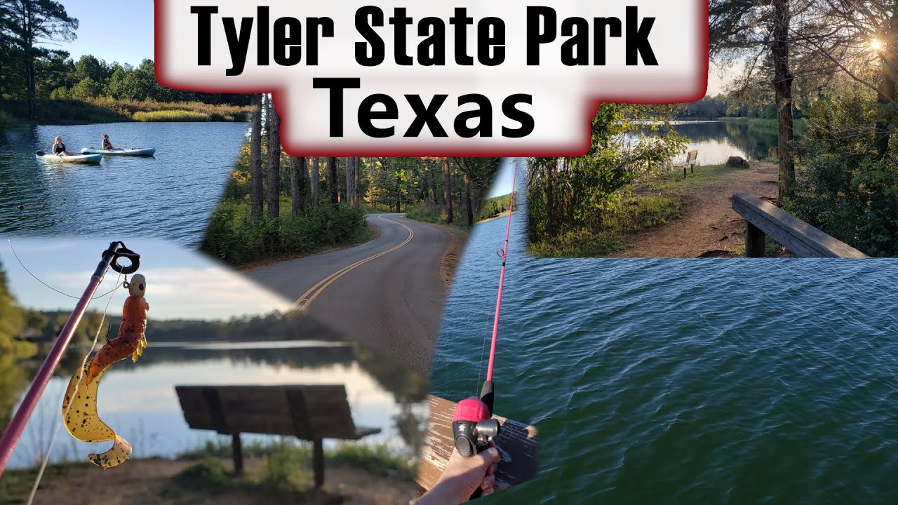 Tyler State Park, Texas -- Fishing & Tour | Camping Area and hiking ...