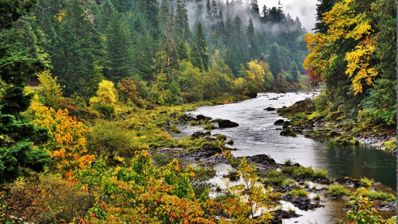 The Screaming Bigfoot Of Fort Goff, California... (Bigfoot Encounters ...