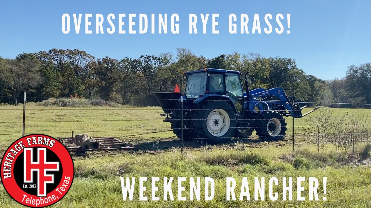 Overseeding Rye Grass! - YouTube