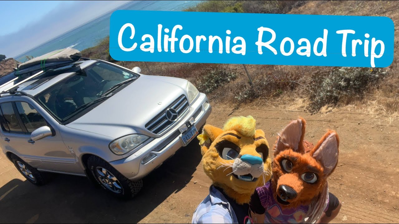 Furry Road Trip across California 2025 - YouTube