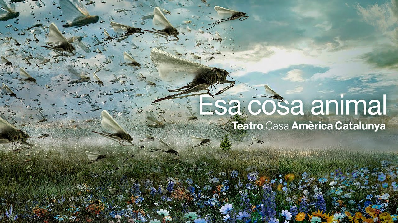 Lectura dramatitzada: ‘Esa cosa animal’. Un text de Lina Meruane - YouTube