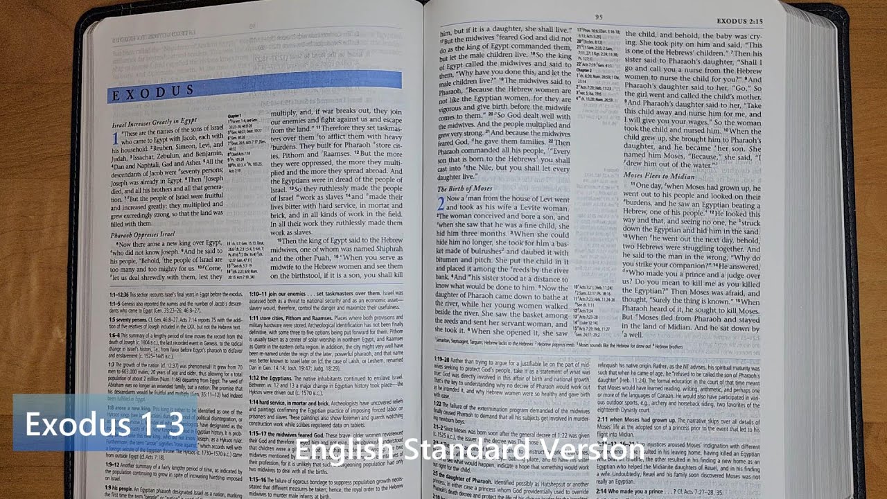 Bible in a Year - Day 17: Exodus 1-3, Psalm 17 - YouTube