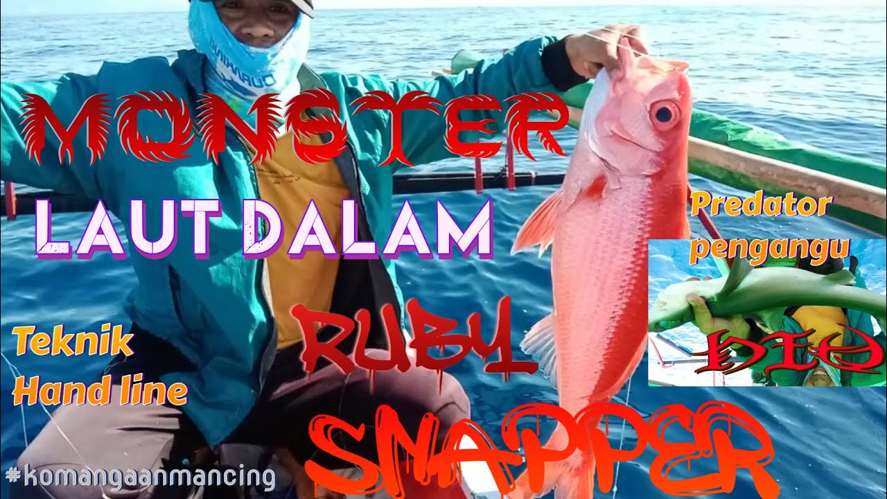 Mancing Monster dasar alut, si cantik RUBY SNAPPER, TEKNIK HAND LINE. - YouTube