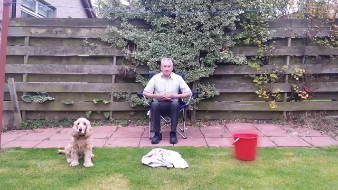 Fudge the Dog - Ice Bucket Challenge - The Sequel - YouTube