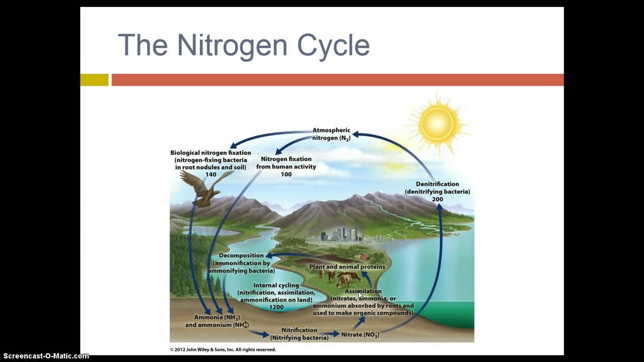 CH 4 Biogeochemical cycles - YouTube