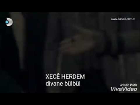 Xecê herdem divane bülbül yeni klip 2017