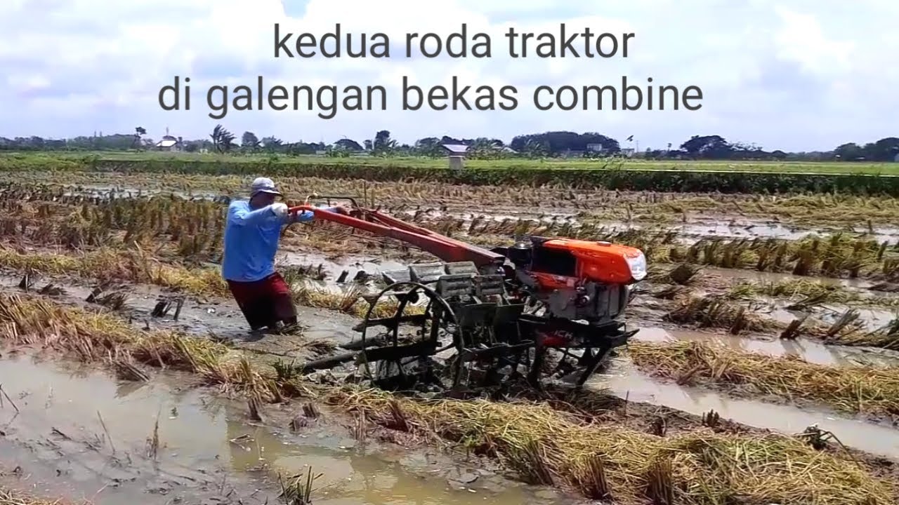 Joki Traktor Spesialis Di Lahan Sawah Bekas Combine Harvester ,Right ...