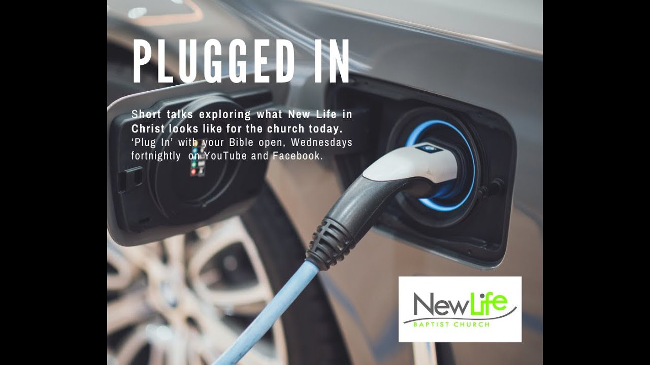 Plugged In Bible