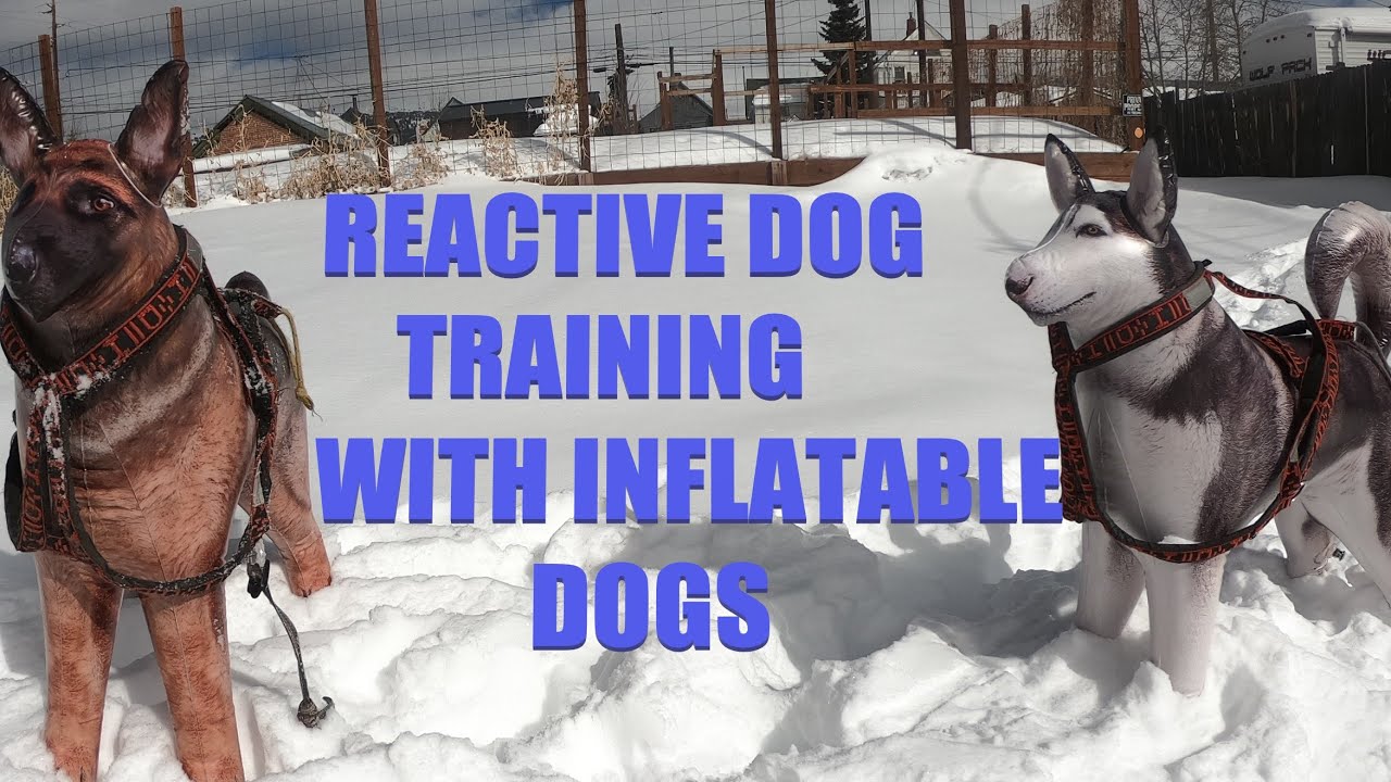 Inflatable fake dogs for training Reactive dogs to pass pulling dog ...