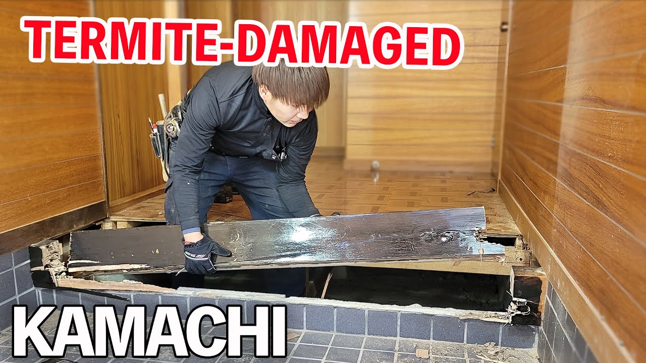 Massive Termite Damage! Japanese Carpenter Struggles to Replace ...