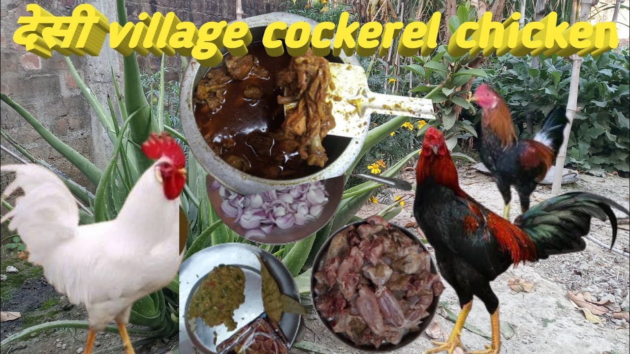 Desi style cockerel chicken recipe||cockerel chicken curry||cockerel ...