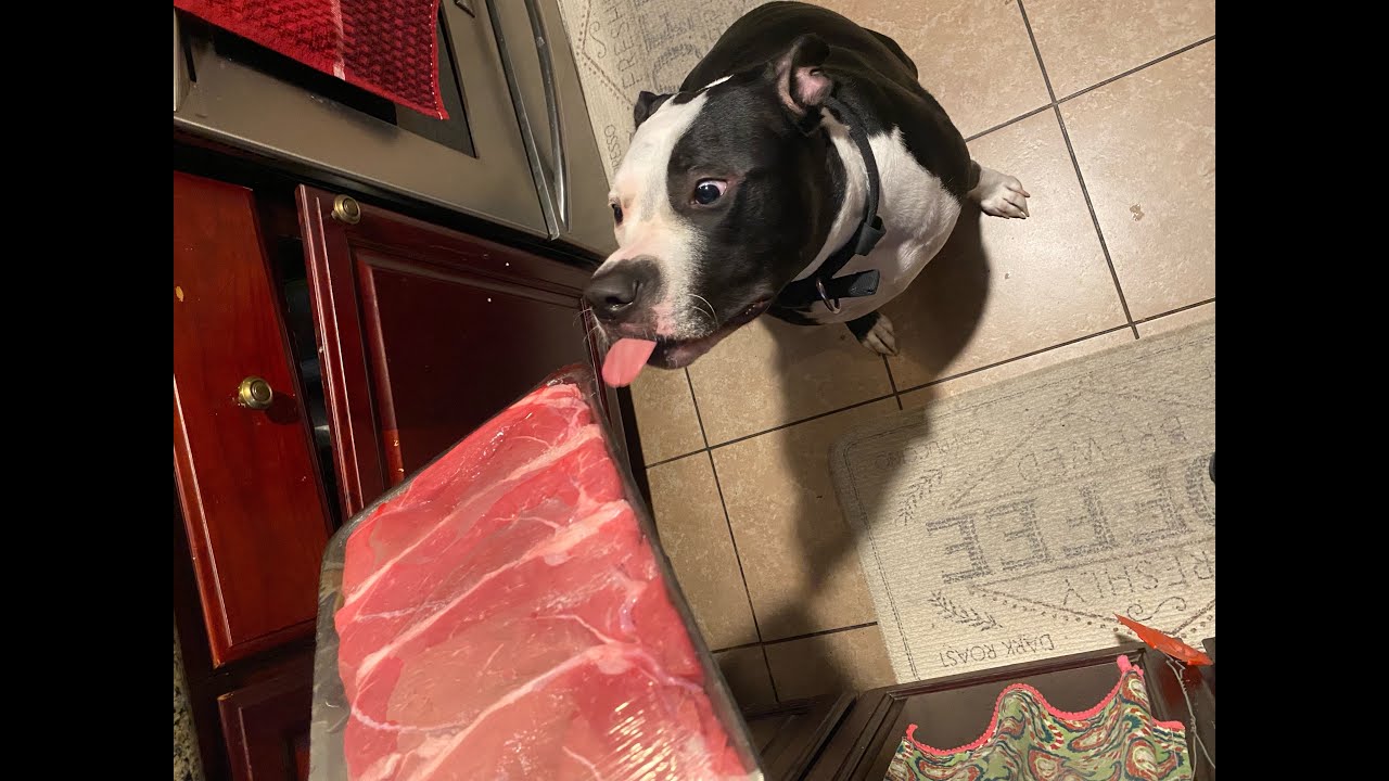How To Cook a Steak for a Dog - YouTube
