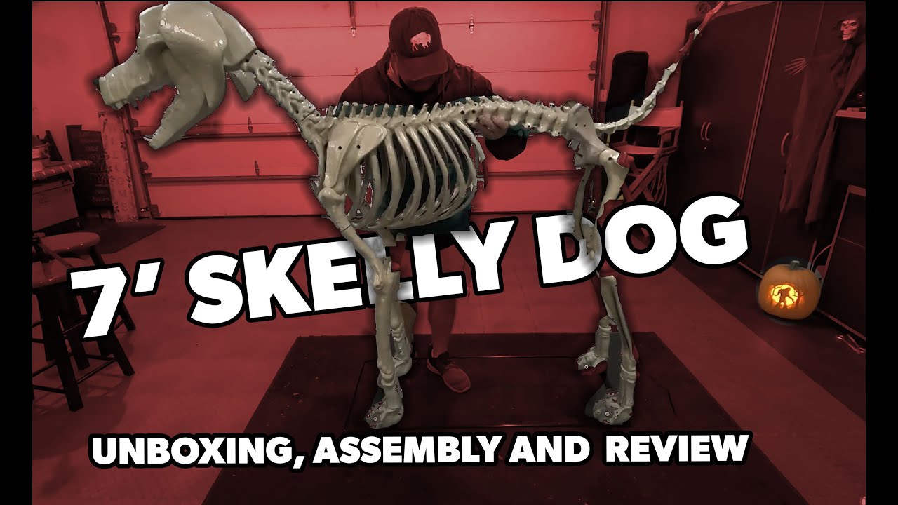 7-Foot Skelly Dog from Home Depot Unboxing, assembly AND review - YouTube