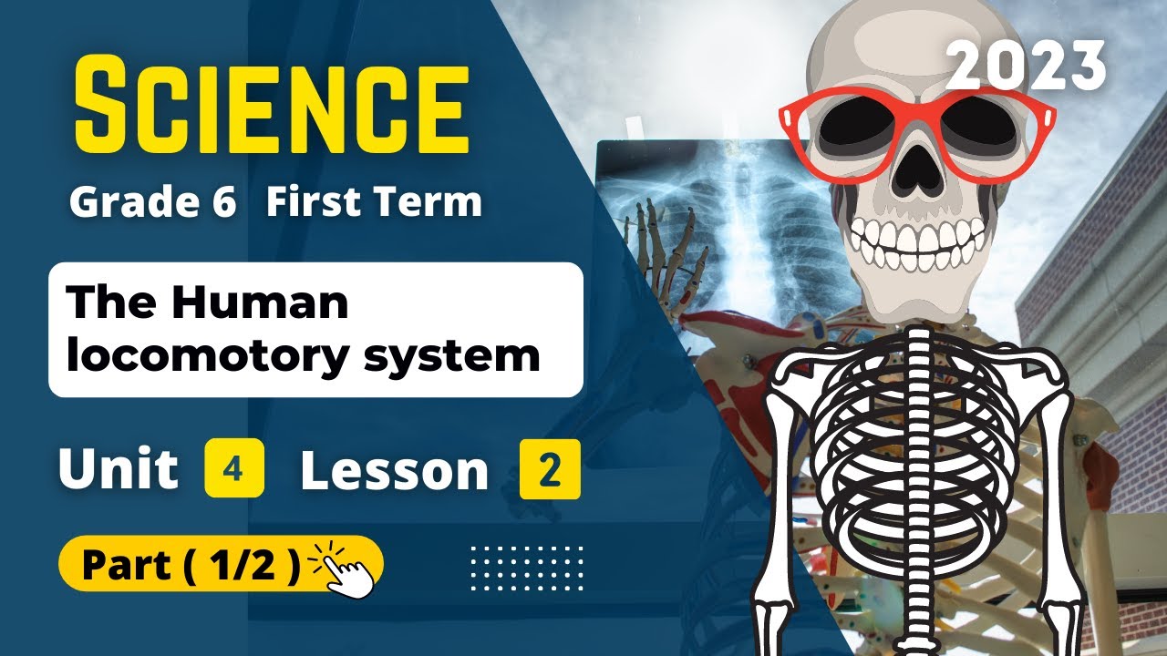 Grade 6 | SCIENCE | Unit 4 - Lesson 2 - Part (1/2) | The Human ...