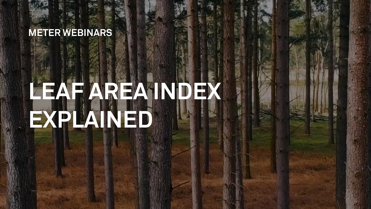 Leaf Area Index Explained: Theory, Measurement, and Applications - YouTube