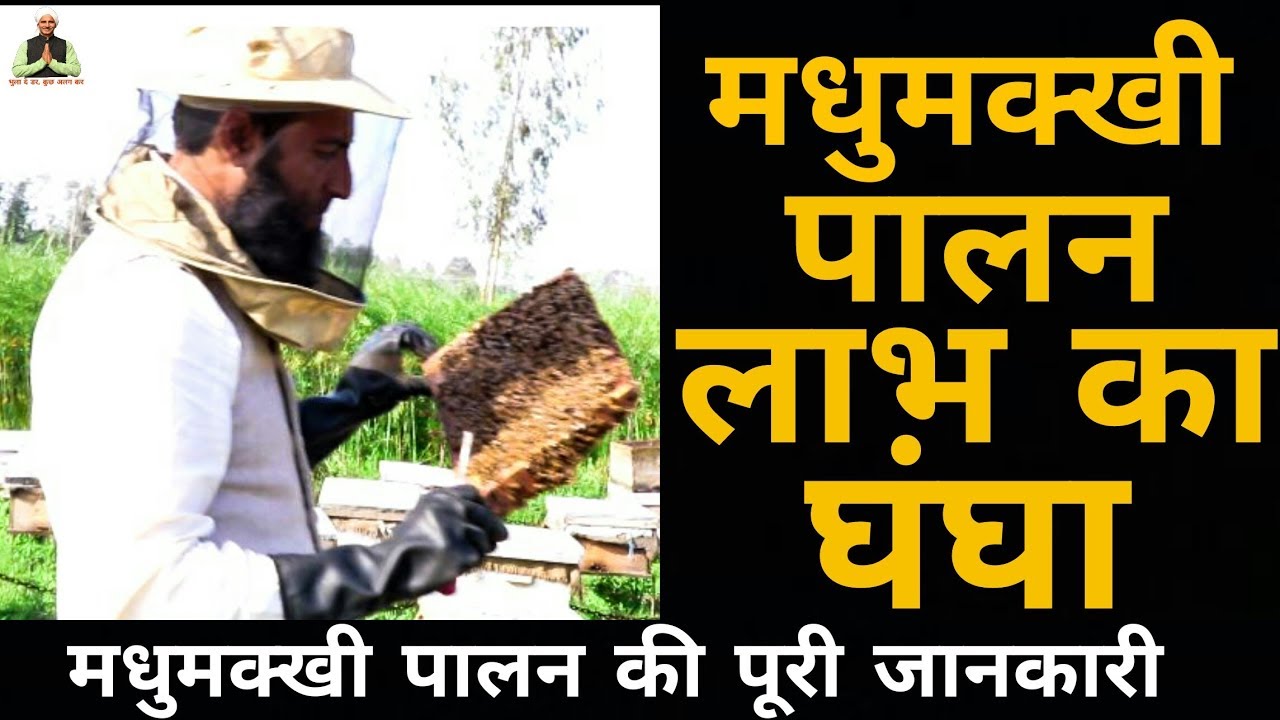 Honey Bee Farming/Honey Bee Keeping |Madhu Makhi Palan |मधुमक्खी पालन ...