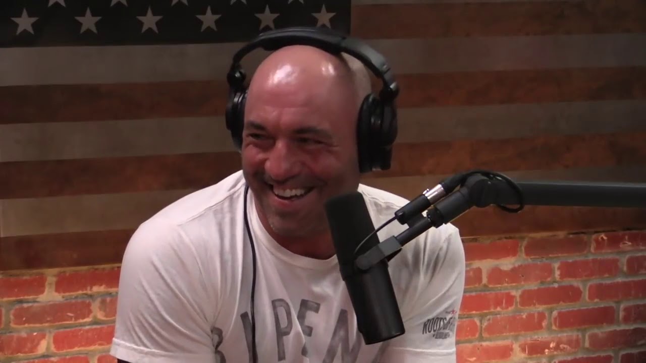 Joe Rogan on Prisons Being Ineffective - YouTube