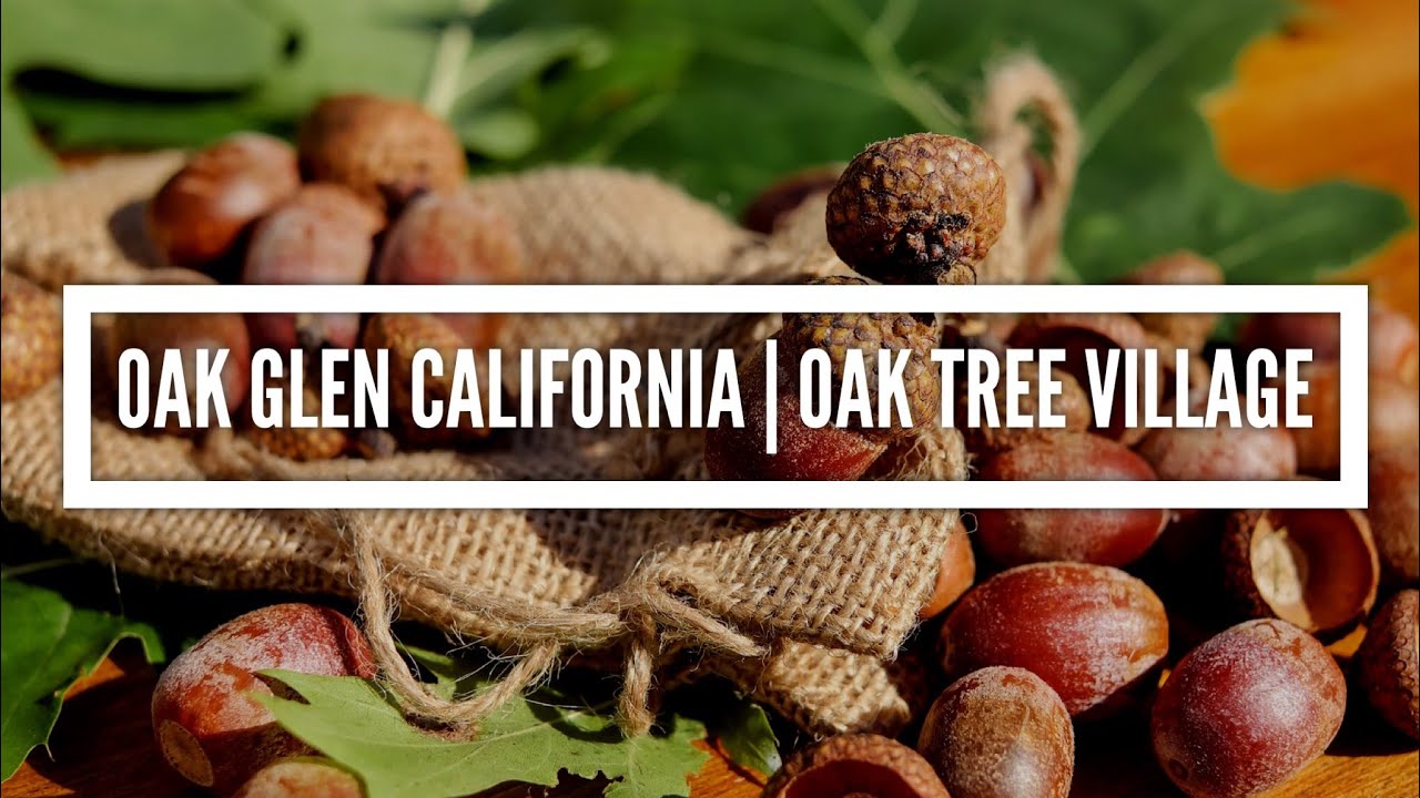 OAK GLEN CALIFORNIA | OAK TREE VILLAGE - YouTube