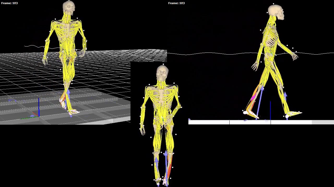 MAC3Dシステムでの歩行解析 - YouTube