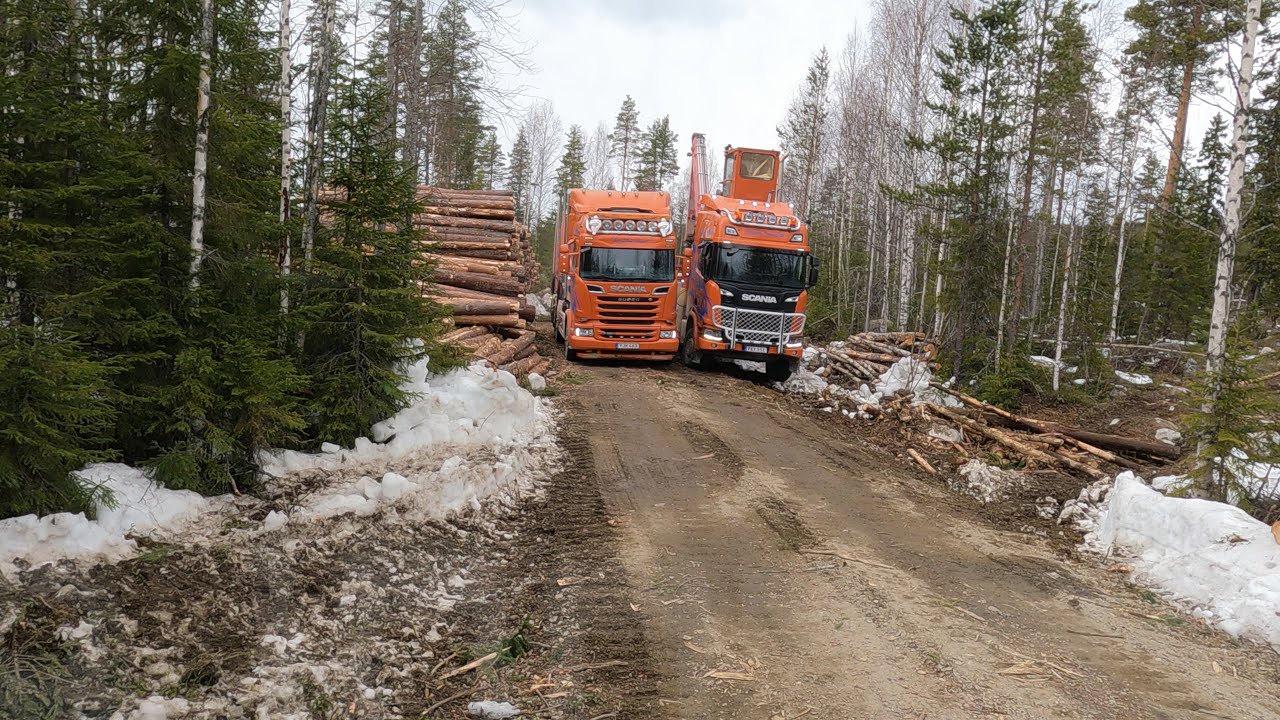 Log Trucking - Another beautiful day at work - YouTube